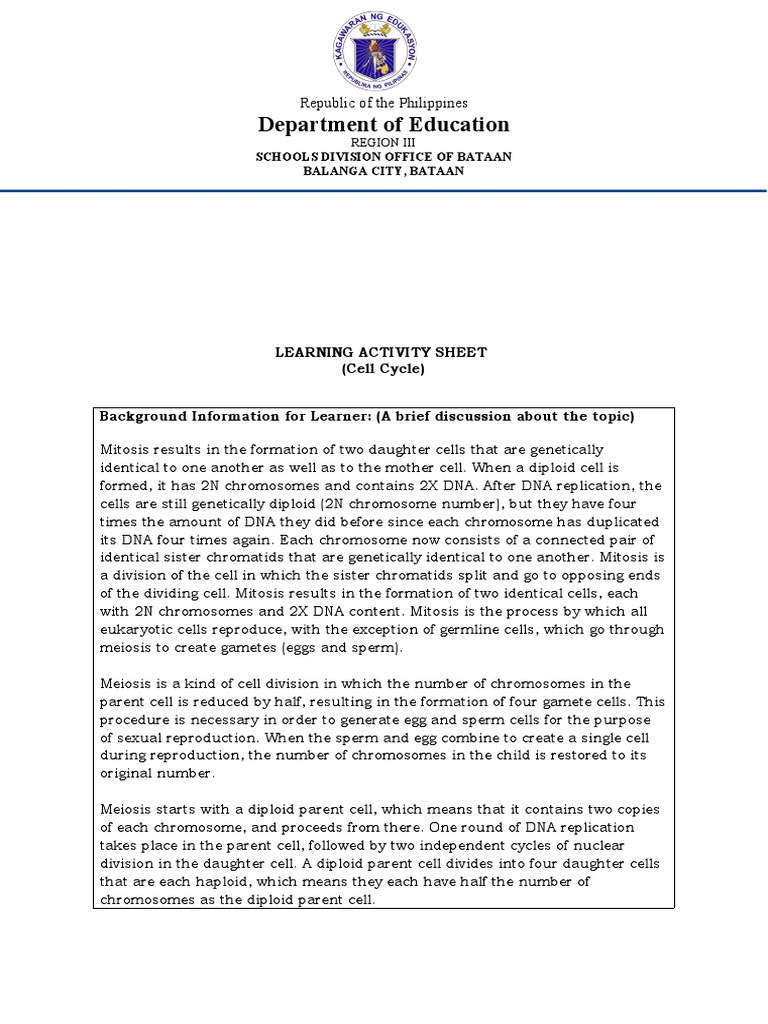 CELLS ALIVE - Cell Division | PDF | Meiosis | Mitosis