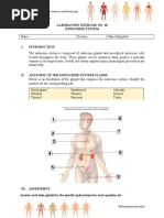 Overview of 11 Human Body Systems | PDF | Human Body | Blood