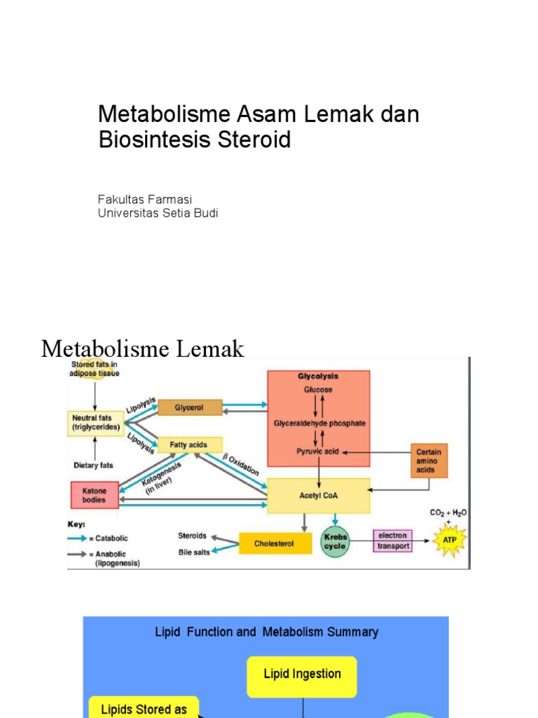 Metabolisme Asam Lemak | PDF
