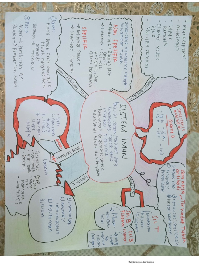1 Mind Mapping Sistem Imun - Dwi Mayang Fitriani - 190205009 | PDF