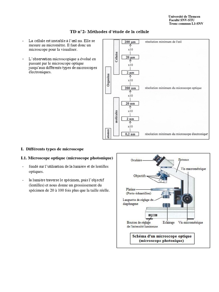 TD N°2 - Méthodes D'étude de La Cellule | PDF | Cellule (Biologie) | Microscopie électronique à ...