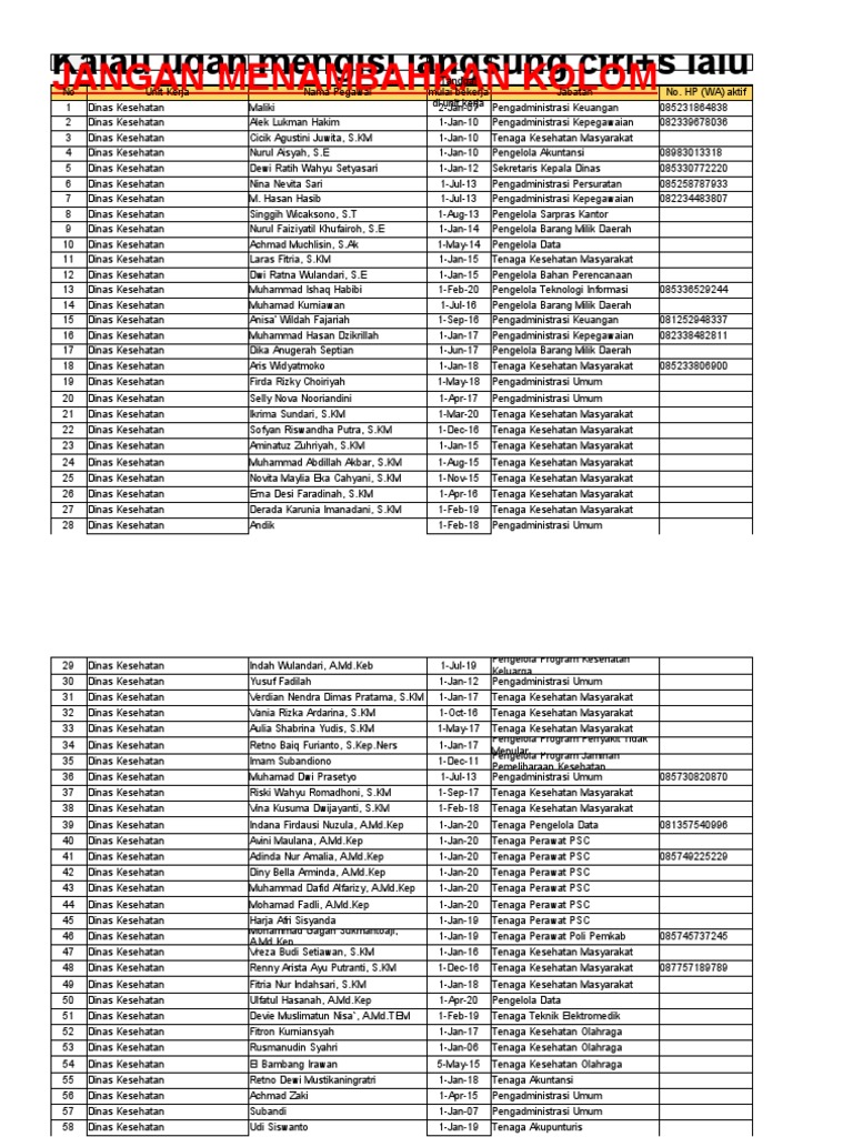 Format Data Populasi Internal Dan Eksternal E-SPI 2021-DINKES | PDF