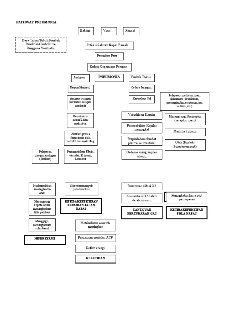 Pathway Pneumonia | PDF