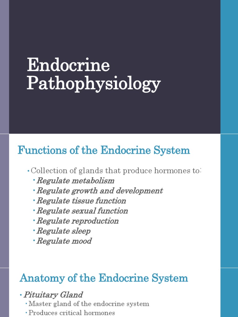 Endocrine Pathophysiology | PDF | Endocrine System | Hormone