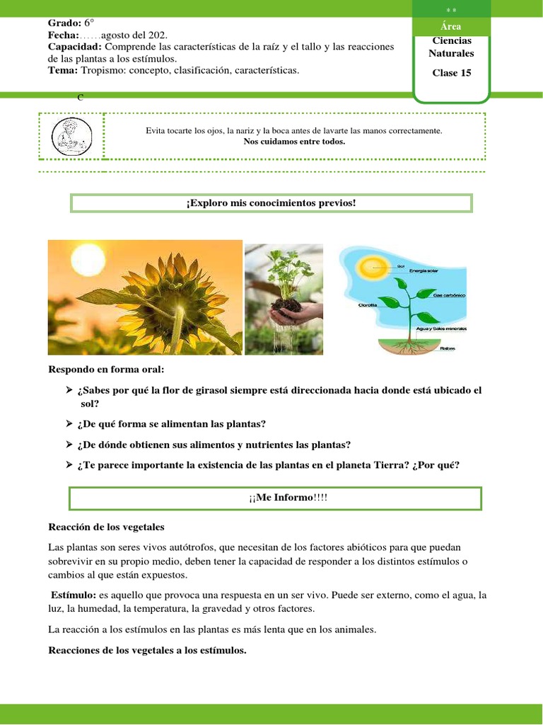 Hoja De Trabajo Sobre Los Tropismos De Las Plantas GUIA PEDAGOGICA