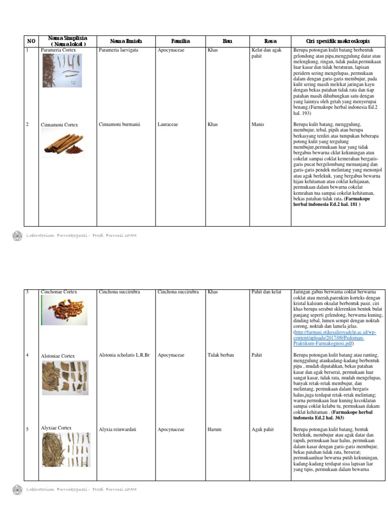 2018-150 - Andre Riswanda Putra - Cacahan Cortex & Lignum | PDF