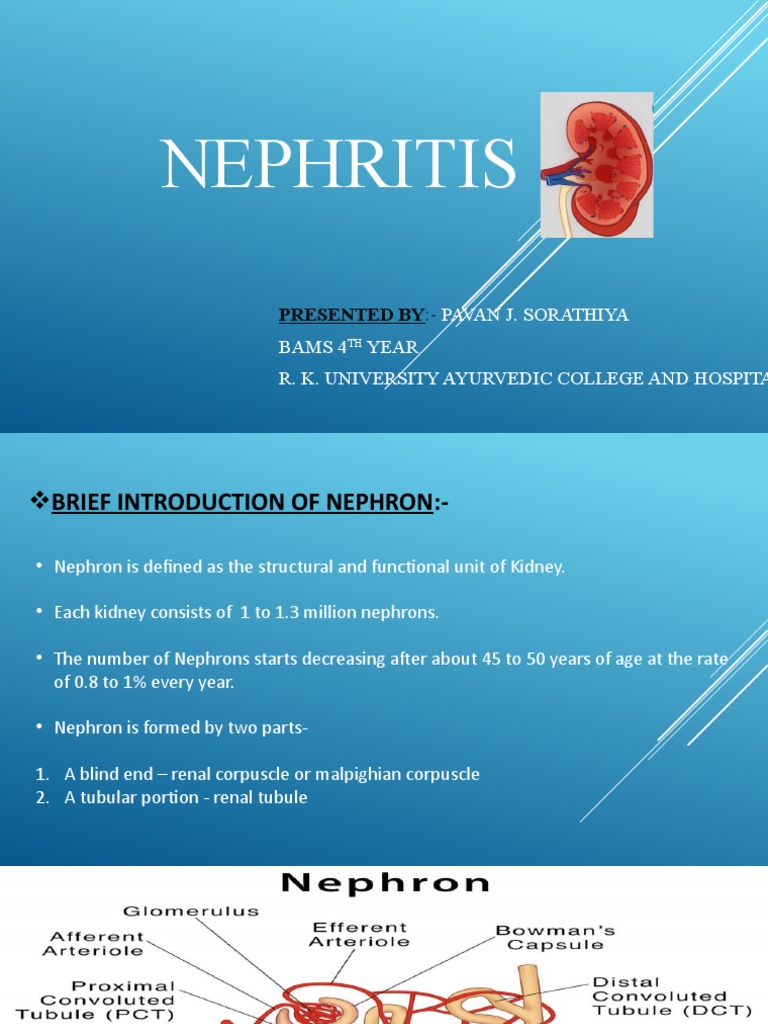 Nephritis: Presented by | Download Free PDF | Kidney Disease | Edema