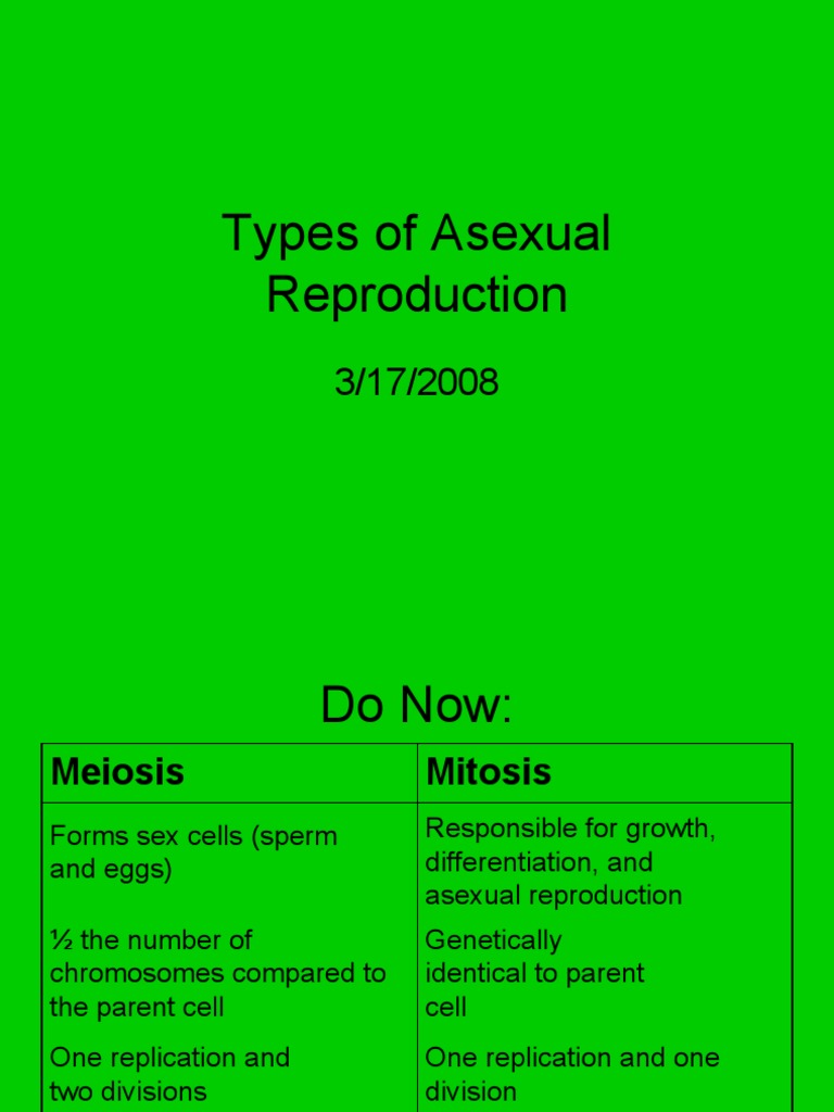Types of Asexual Reproduction | PDF | Reproduction | Cell (Biology)
