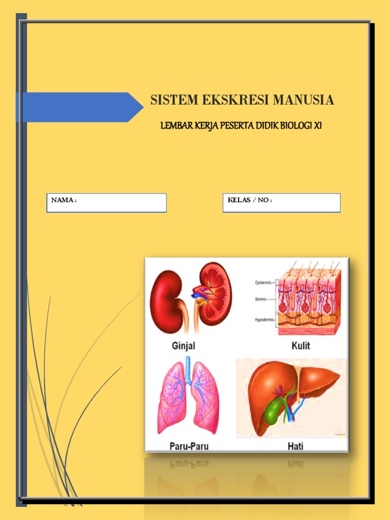 Sistem Ekskresi Manusia (LKPD) | PDF