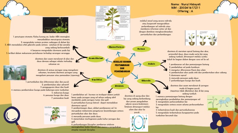 Mind Map Regulasi Hormon | PDF
