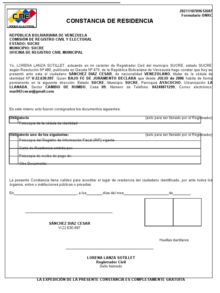 Formato Del Cne | PDF