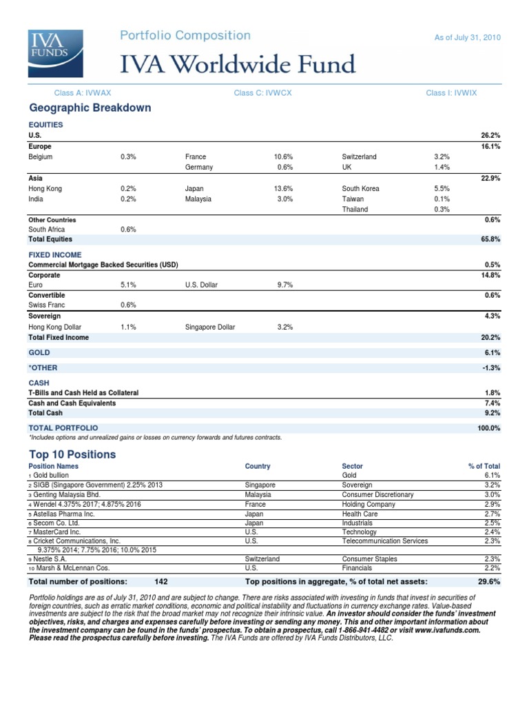 Global Investment Portfolio Breakdown | PDF | Foreign Exchange Market ...