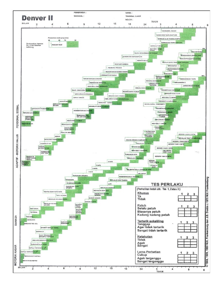 Form Denver II | PDF