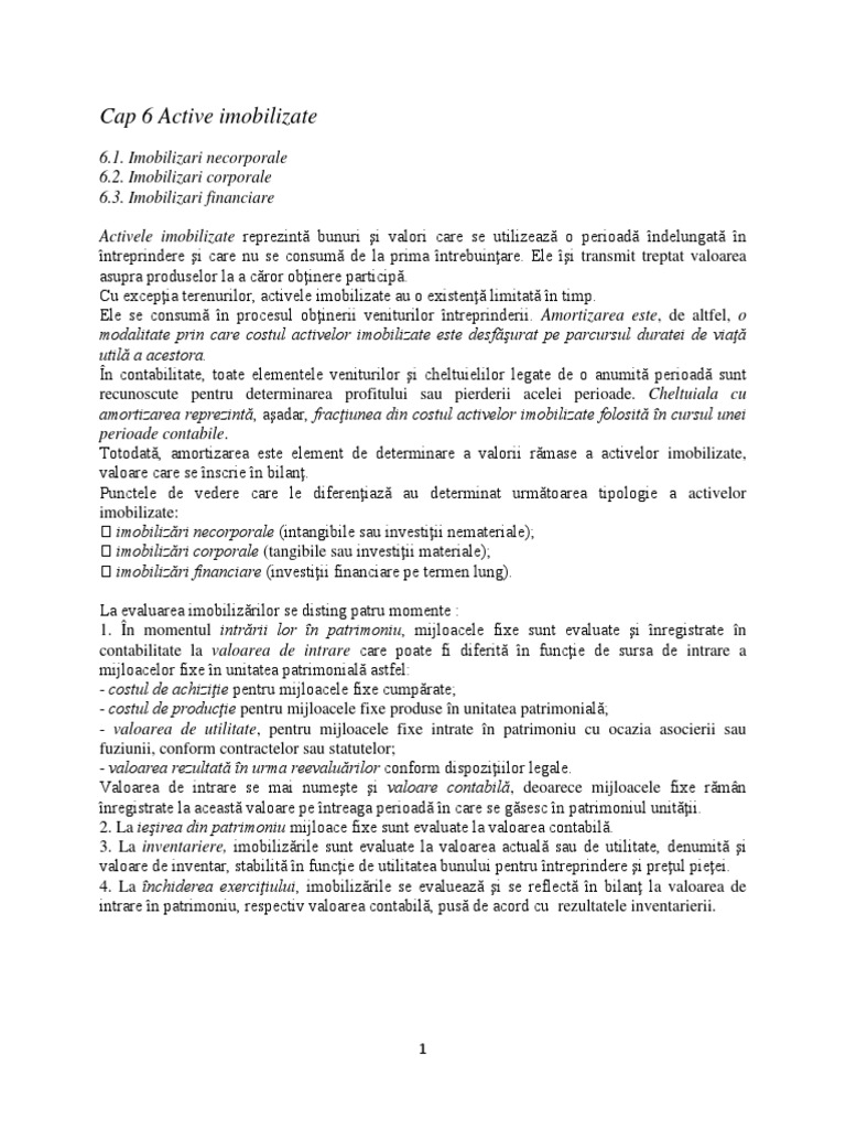 6.active Imobilizate | PDF