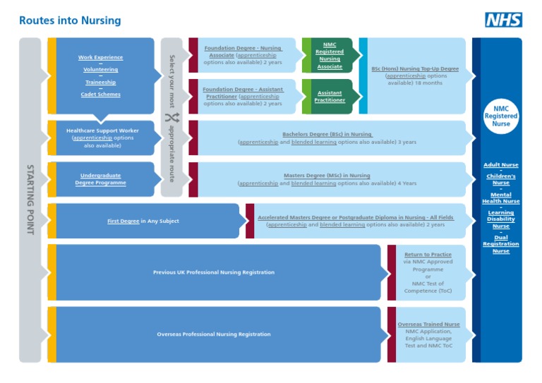 Routes Into Nursing: (Apprenticeship Options Also Available) | PDF ...