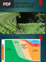 Sistema de Roza y Quema Maya | PDF | México | Agricultura