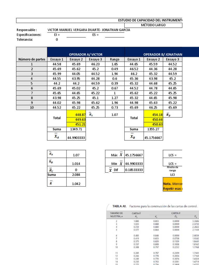 Formato RYR VERGARA GARCIA | PDF