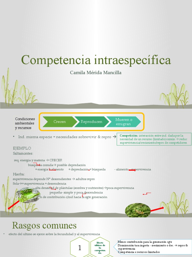 Competencia Intraespecifica | PDF | Ecología | Entorno natural