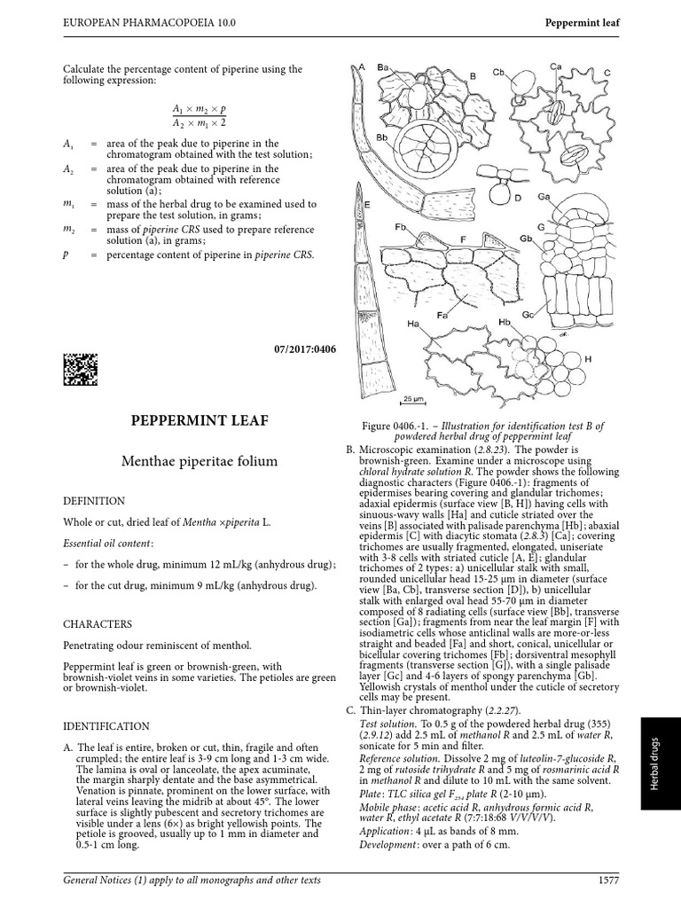 Menthae Piperitae Folium | PDF | Leaf | Thin Layer Chromatography