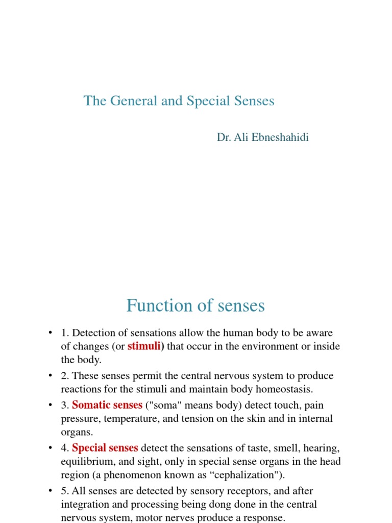 The Anatomy and Physiology of the Senses: A Comprehensive Review of the ...