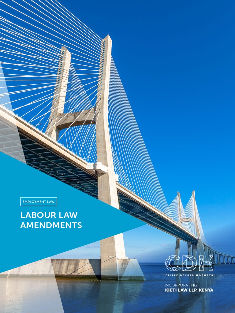 Employment Labour Law Amendments Guide | PDF | Damages | Equal Pay For ...