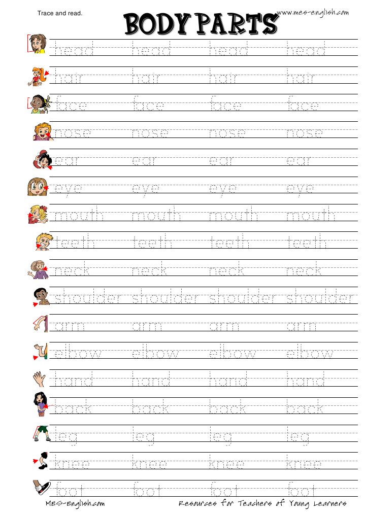 Body Spelling | PDF | Language Arts & Discipline | Wellness