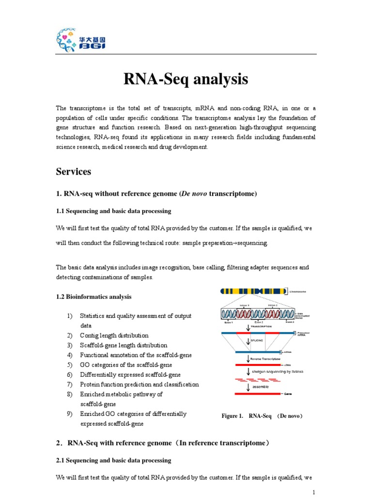Comprehensive RNA-Seq Analysis Services | PDF | Gene Expression | Micro Rna