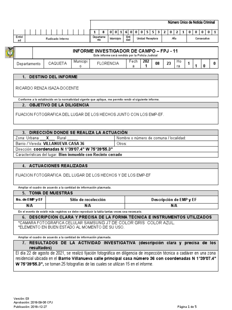 FPJ 11 Informe Investigador de Campo V 03 | PDF