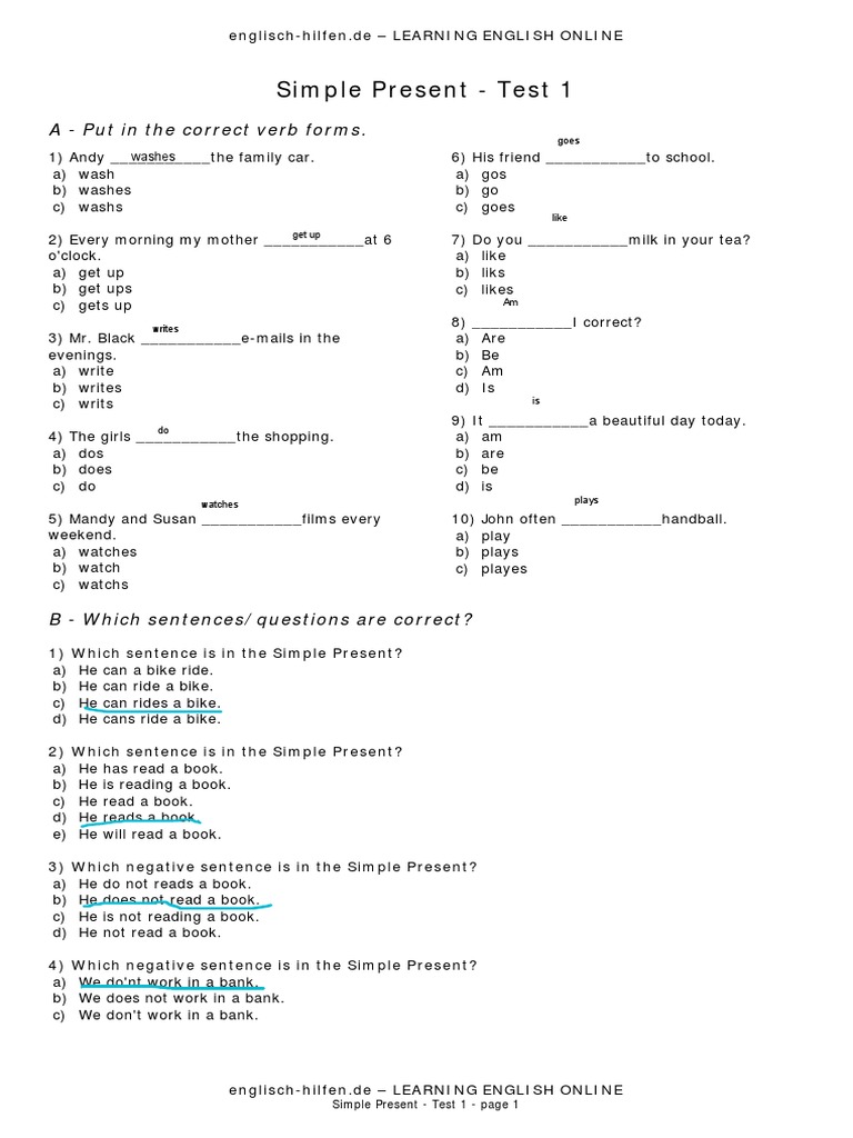English Simple Present Test | PDF | Syntax | Language Mechanics