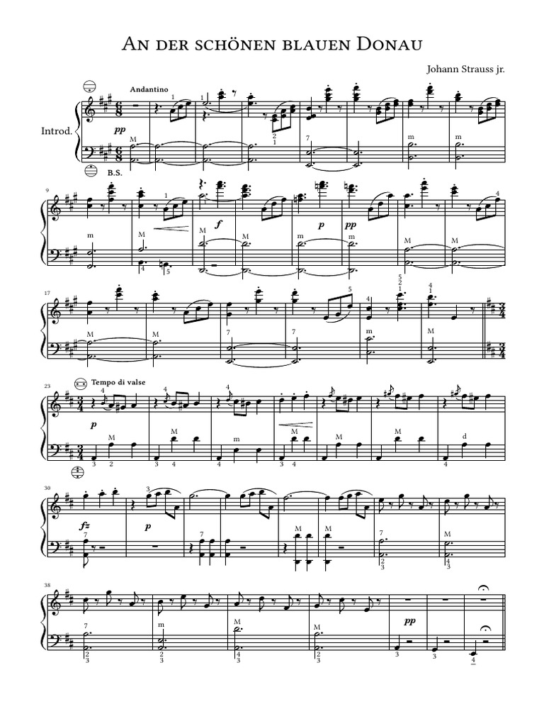 Sul Bel Danubio Blu-Accordion | PDF | Musical Forms | Elements Of Music