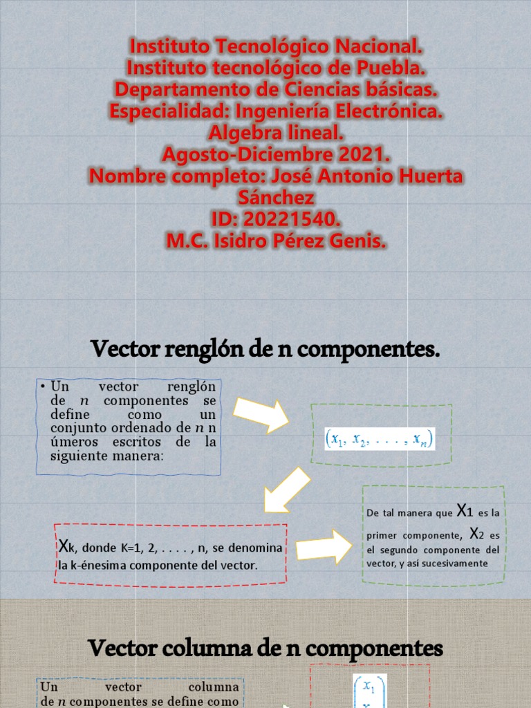 Infografia Vectores y Matrices | PDF | Matriz (Matemáticas) | Vector ...
