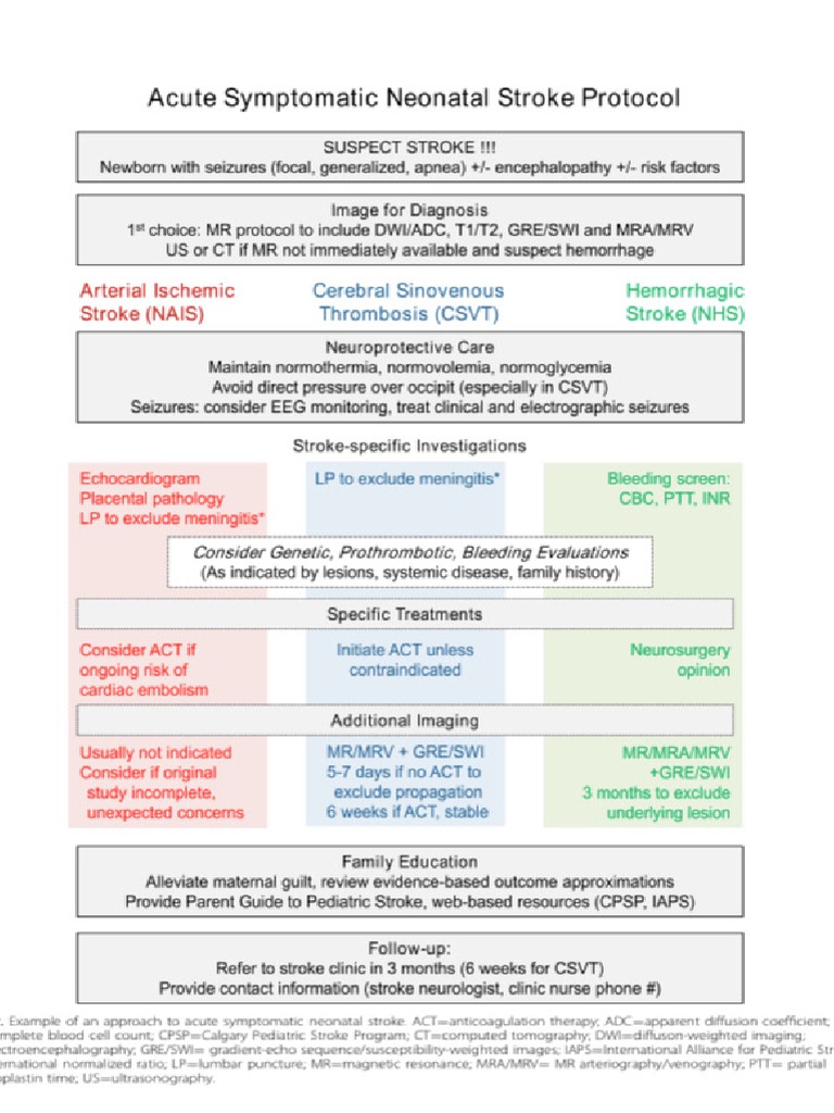 Neonatal Stroke Protocol | PDF
