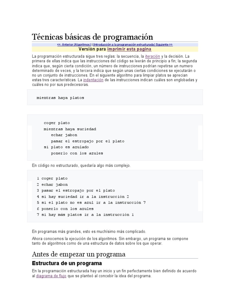 Técnicas Básicas de Programación | PDF | Lenguaje de programación ...