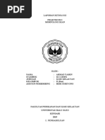 Morfologi Dan Anatomi Kepiting | PDF