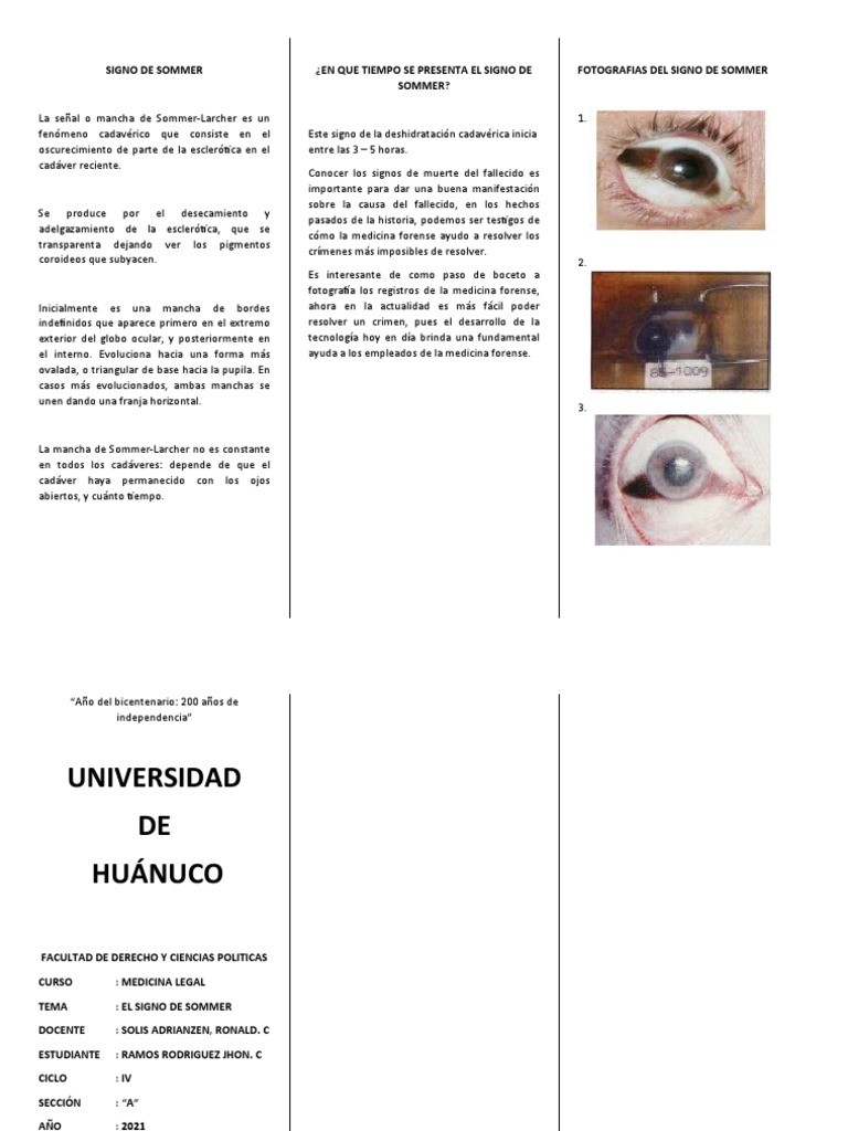Signo de Sommer-Larcher en cadáveres | PDF | Estudios de idiomas ...
