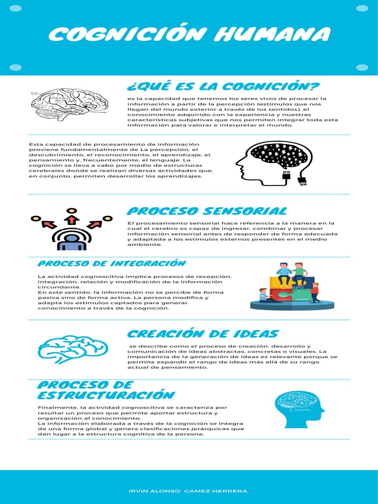 Infografía Cognicion Humana | PDF | Percepción | Cognición