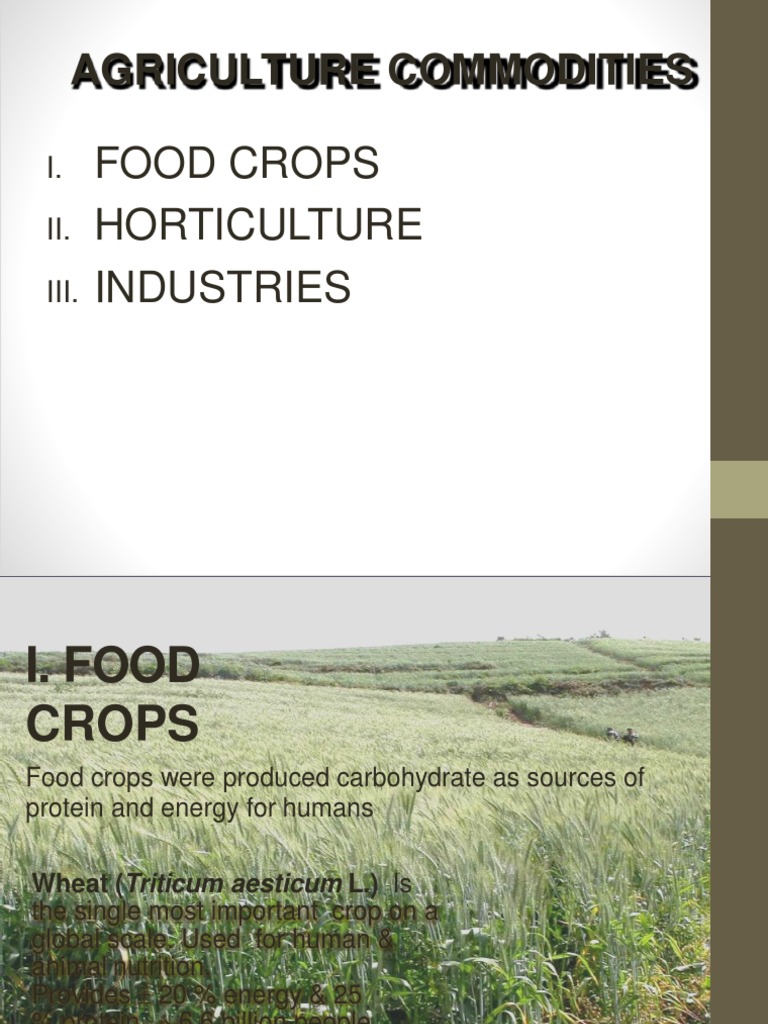 Agriculture Commodities: Food Crops Horticulture Industries | PDF ...