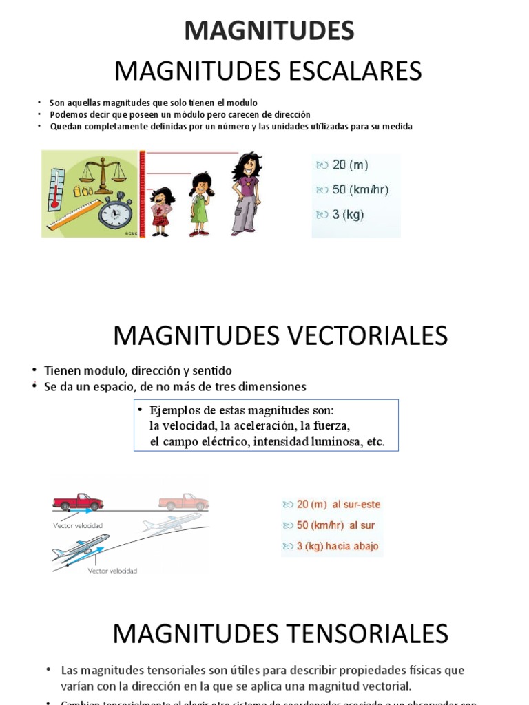 Magnitudes Vectoriales y Vectores | Descargar gratis PDF | Vector ...