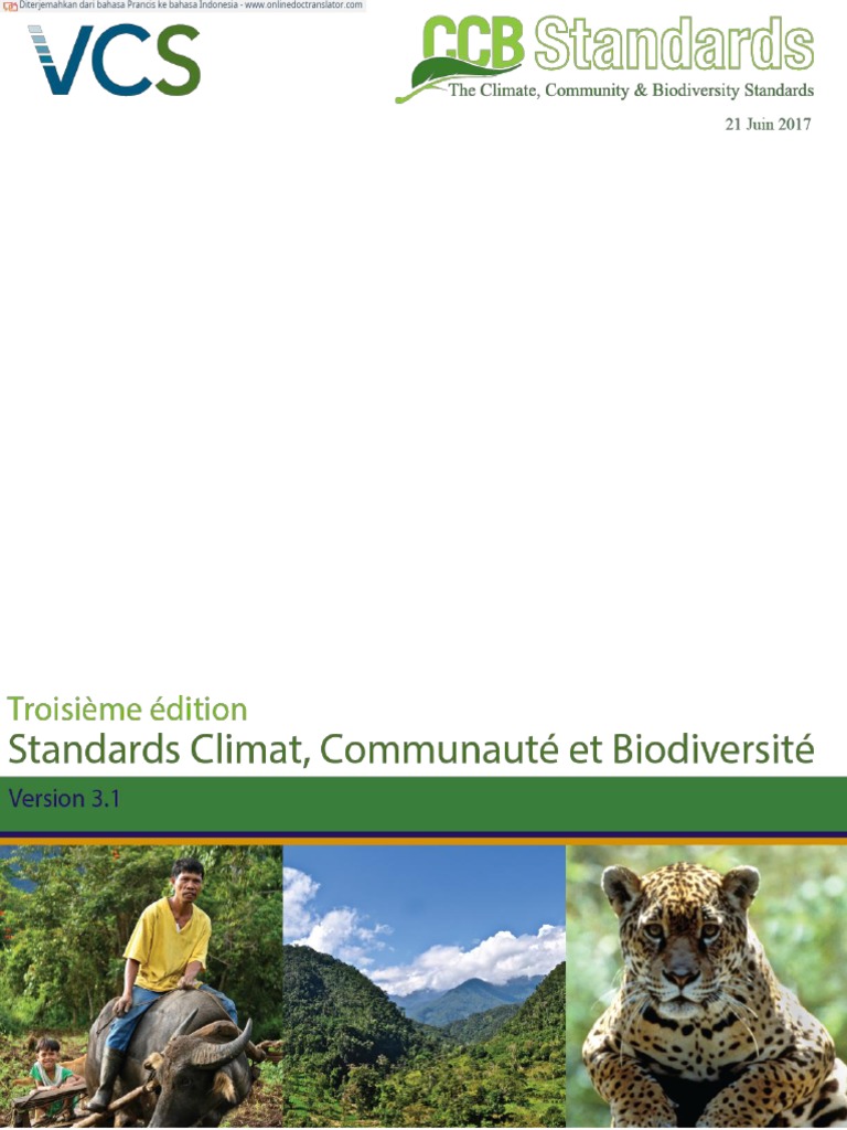 CCB-Standards-v3 1 - FRA FR Id | PDF