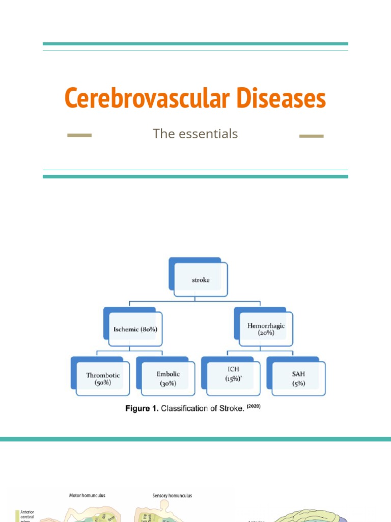 Cerebrovascular Diseases | PDF | Stroke | Angiology