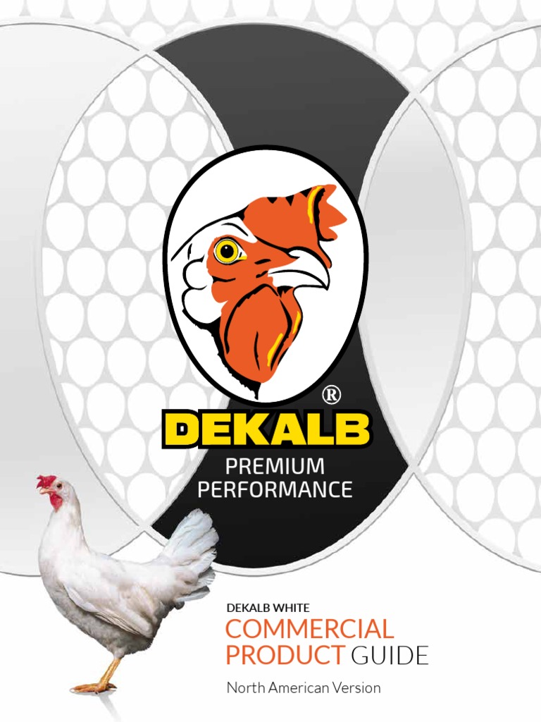 Dekalb White Chicken Management Guide | PDF | Poultry Farming | Nutrients