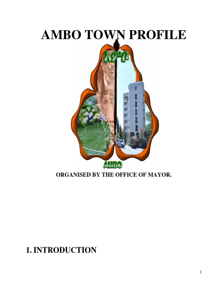Ambo Town Profile | PDF | Rock (Geology) | Basalt