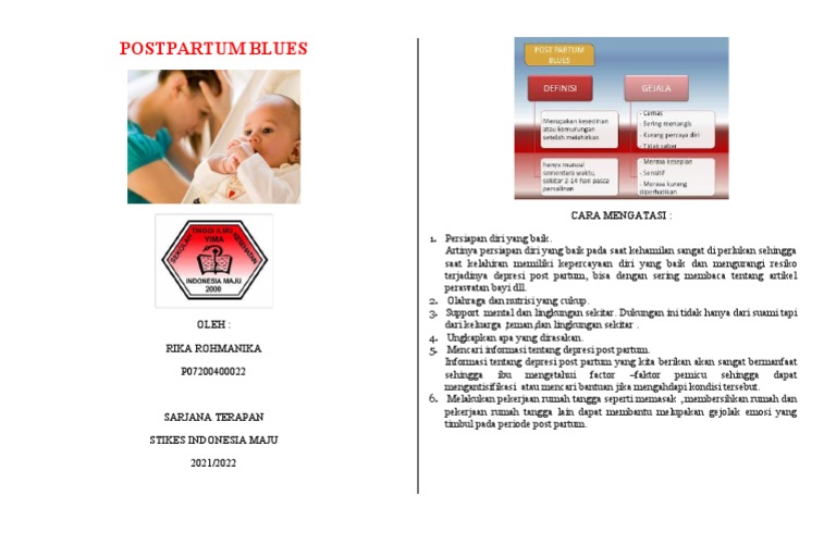 Leaflet Postpartum Blues | PDF