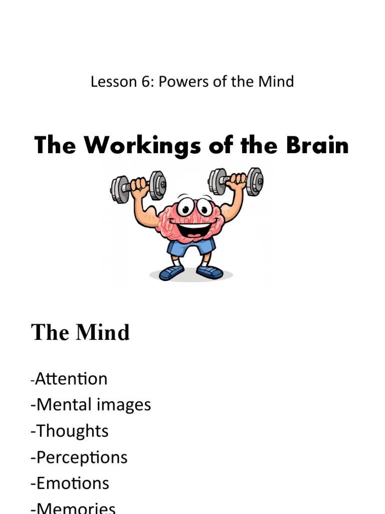 Powers of The Mind - The Brain | PDF | Brain | Pain