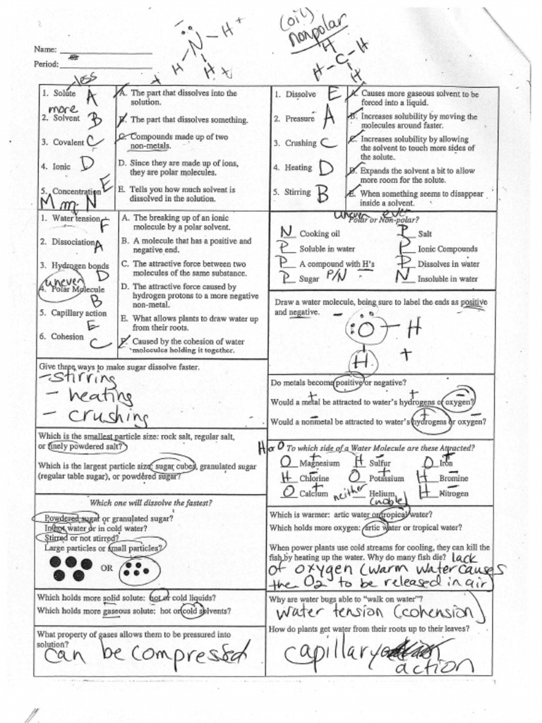 Solutions Packet Answer Keys | PDF