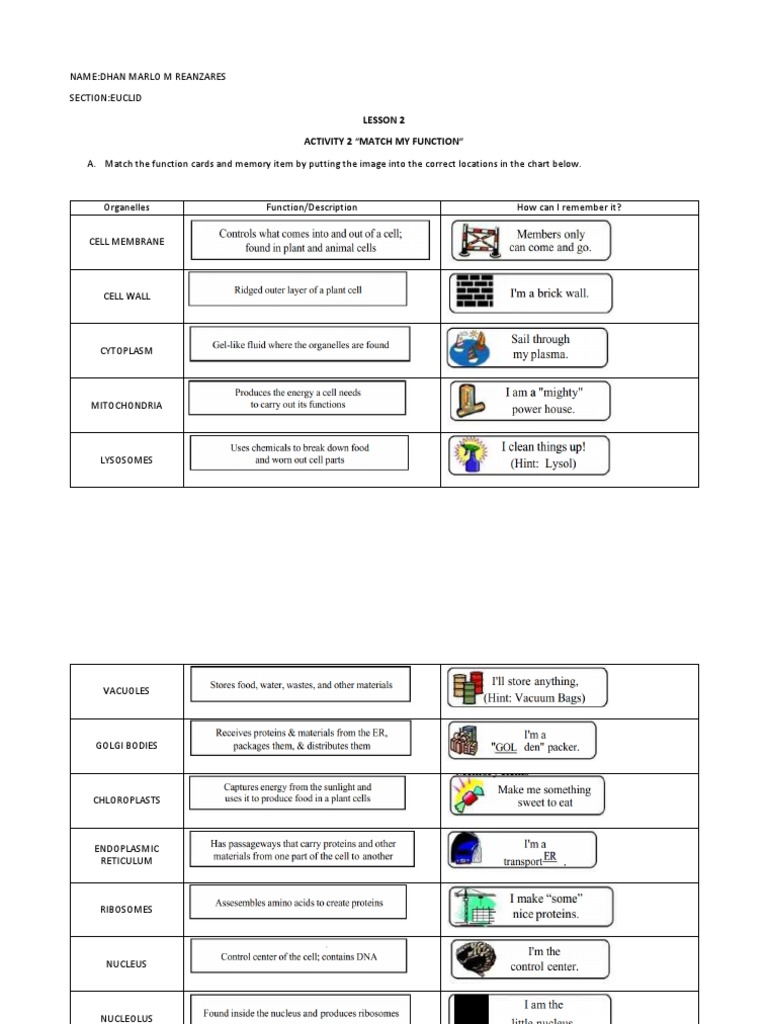 Lesson 2 - Activity 2 Match My Functions | PDF