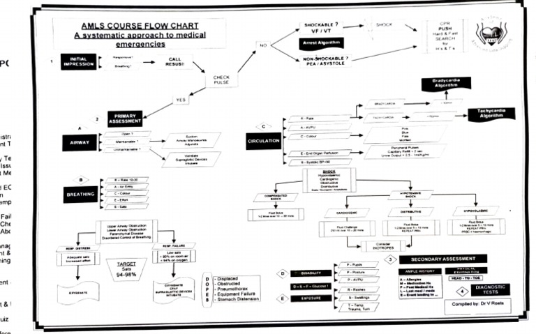 Amls Course Flow Chari: A Systematic Approach To Medical | PDF ...
