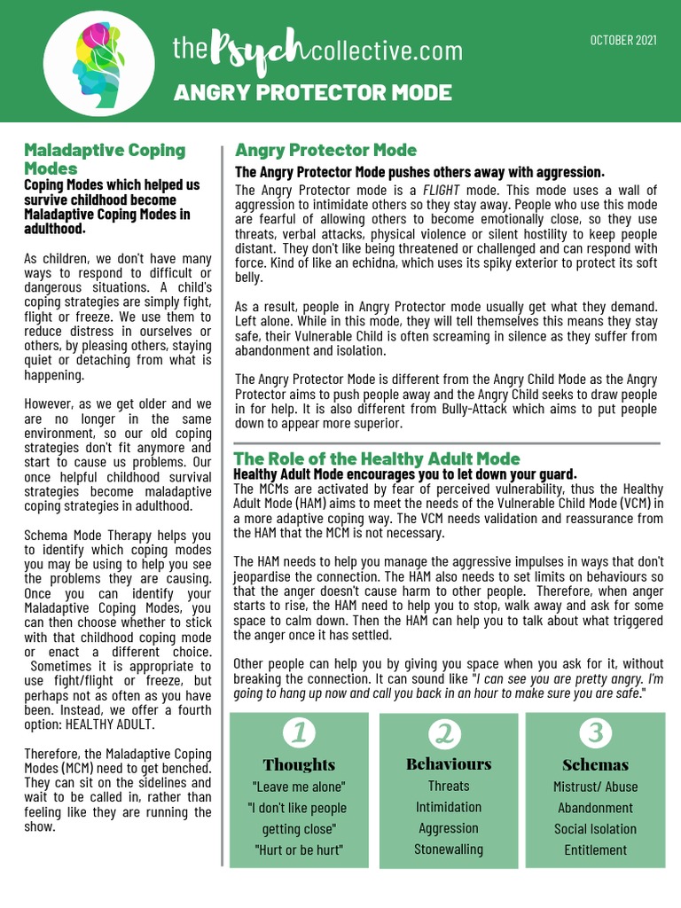 Schema Handout - Angry Protector | PDF | Anger | Aggression