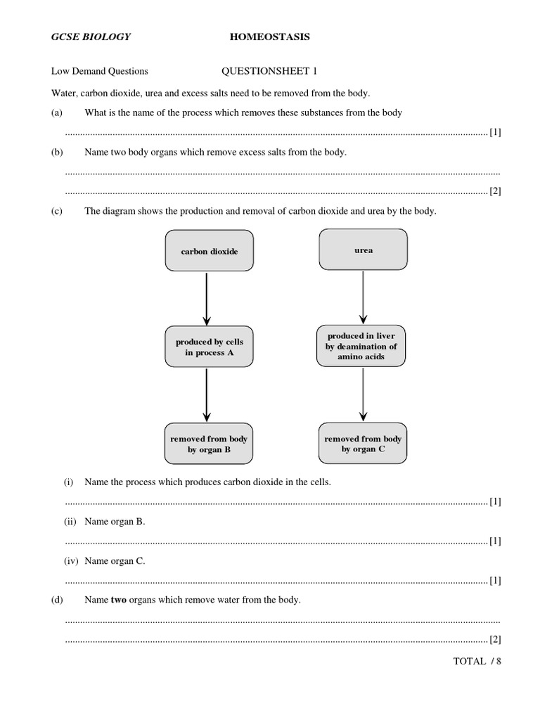 Homeostasis Questions | PDF | Kidney | Homeostasis