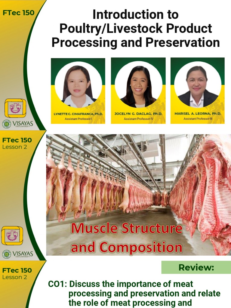 Muscle Structure and Composition in Meat | PDF | Connective Tissue ...